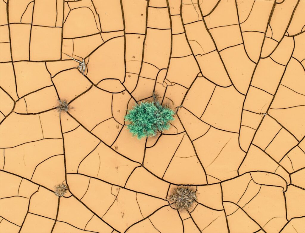 Mapa dos bairros de Belo Horizonte